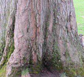 Hello! Memories is a Family Tree site – Memories of a Midwestern Family