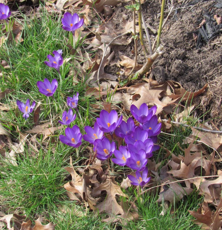 Memories of a Midwestern Family – Photos, Stories, Documents