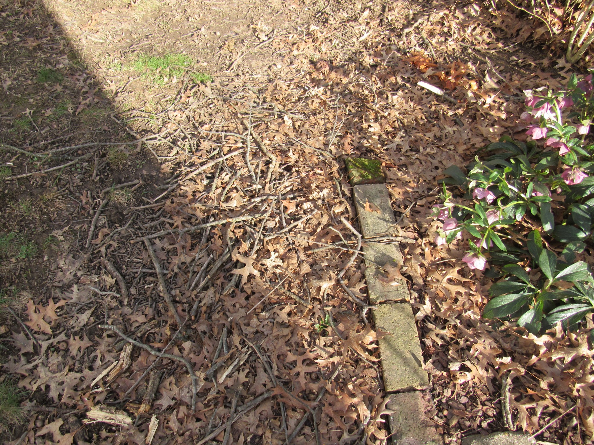 Memories of a Midwestern Family – Photos, Stories, Documents