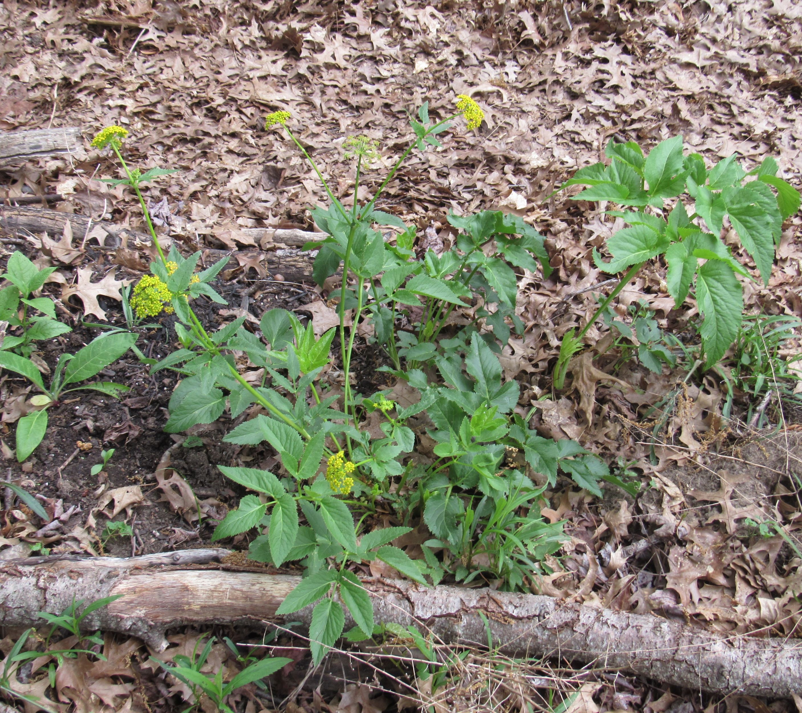 Memories of a Midwestern Family – Photos, Stories, Documents
