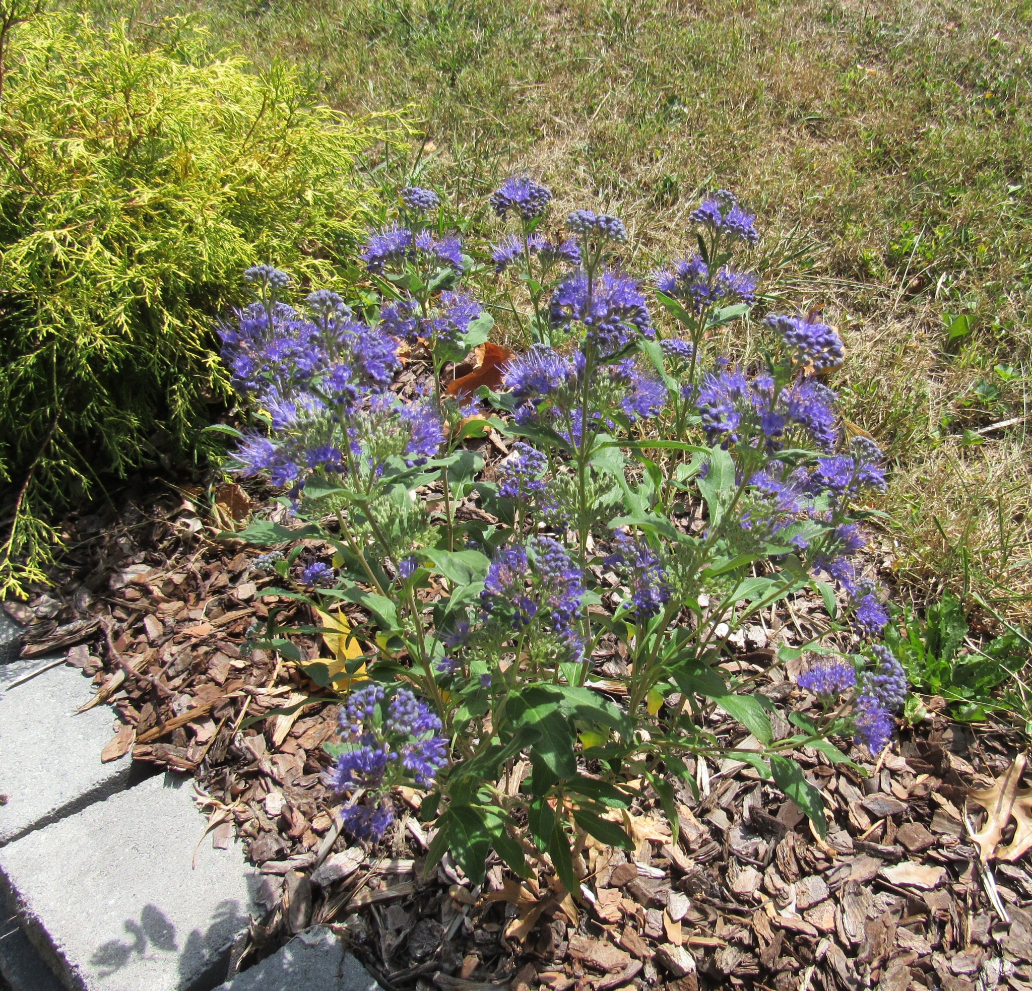 Memories of a Midwestern Family – Photos, Stories, Documents