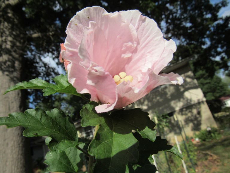 Memories of a Midwestern Family – Photos, Stories, Documents