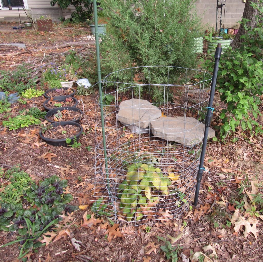 Memories of a Midwestern Family – Photos, Stories, Documents