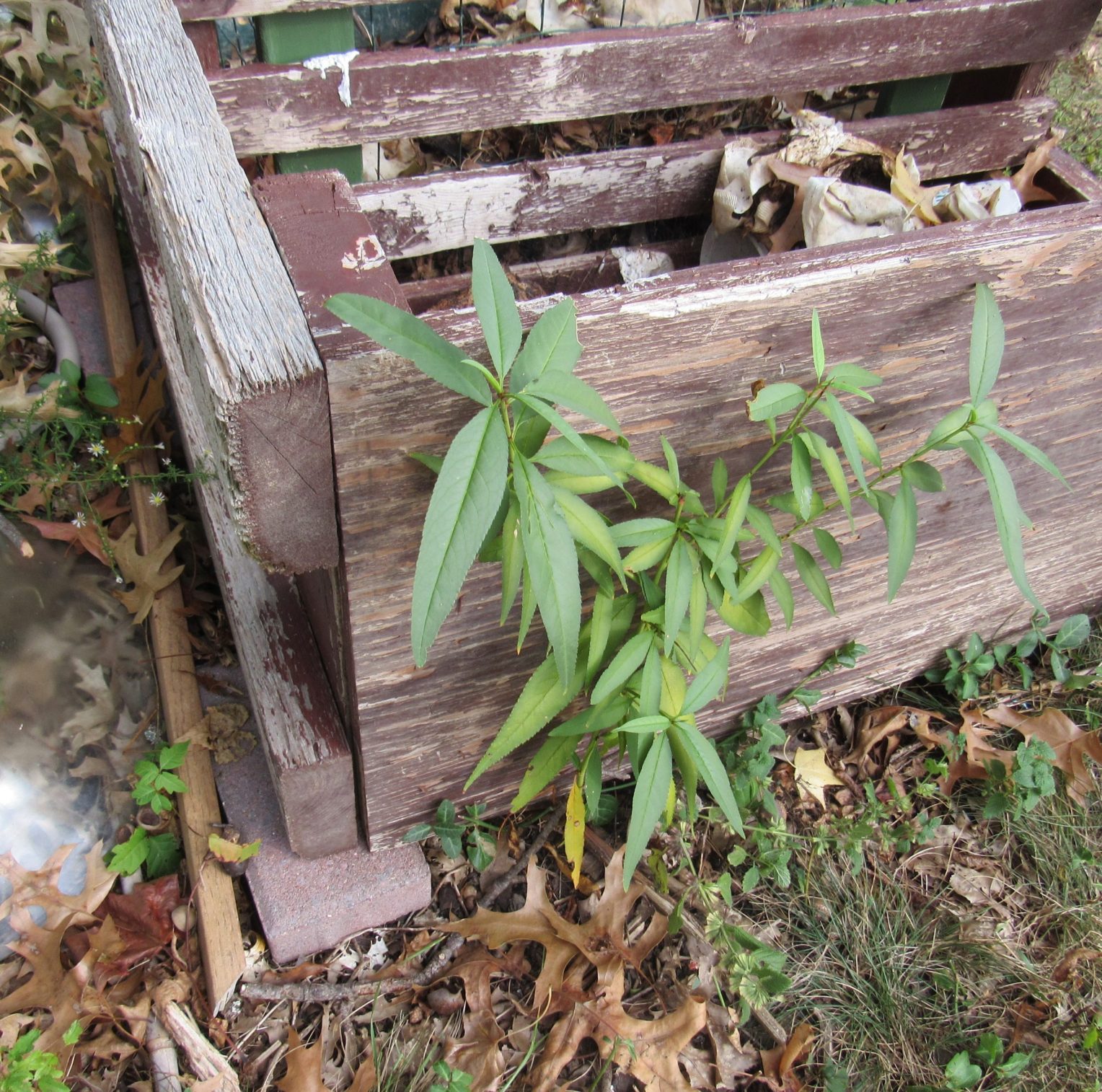 Memories of a Midwestern Family – Photos, Stories, Documents